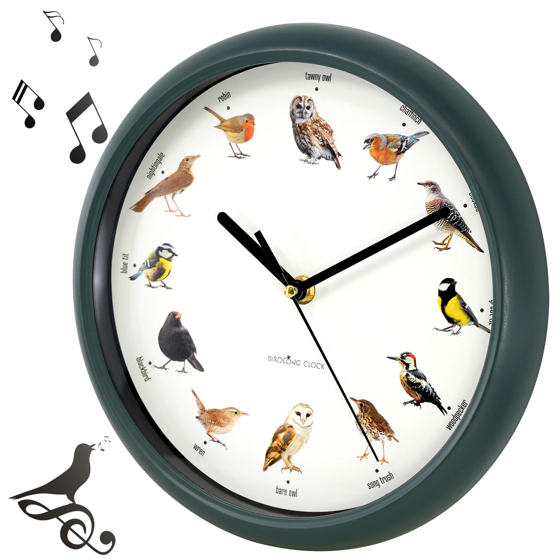 Birdsong Wall Clock with 12 Different Native Birds - Geezy - Automatic ...